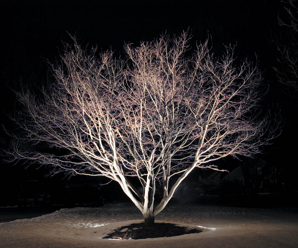 Outdoor Living for Lancaster, Harrisburg and York, PA